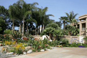 Landscape Designer | Landscape Design San Diego