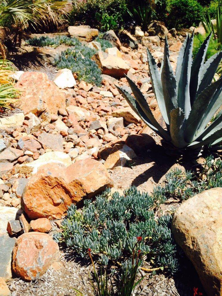 Santa Fe Residential Landscaping